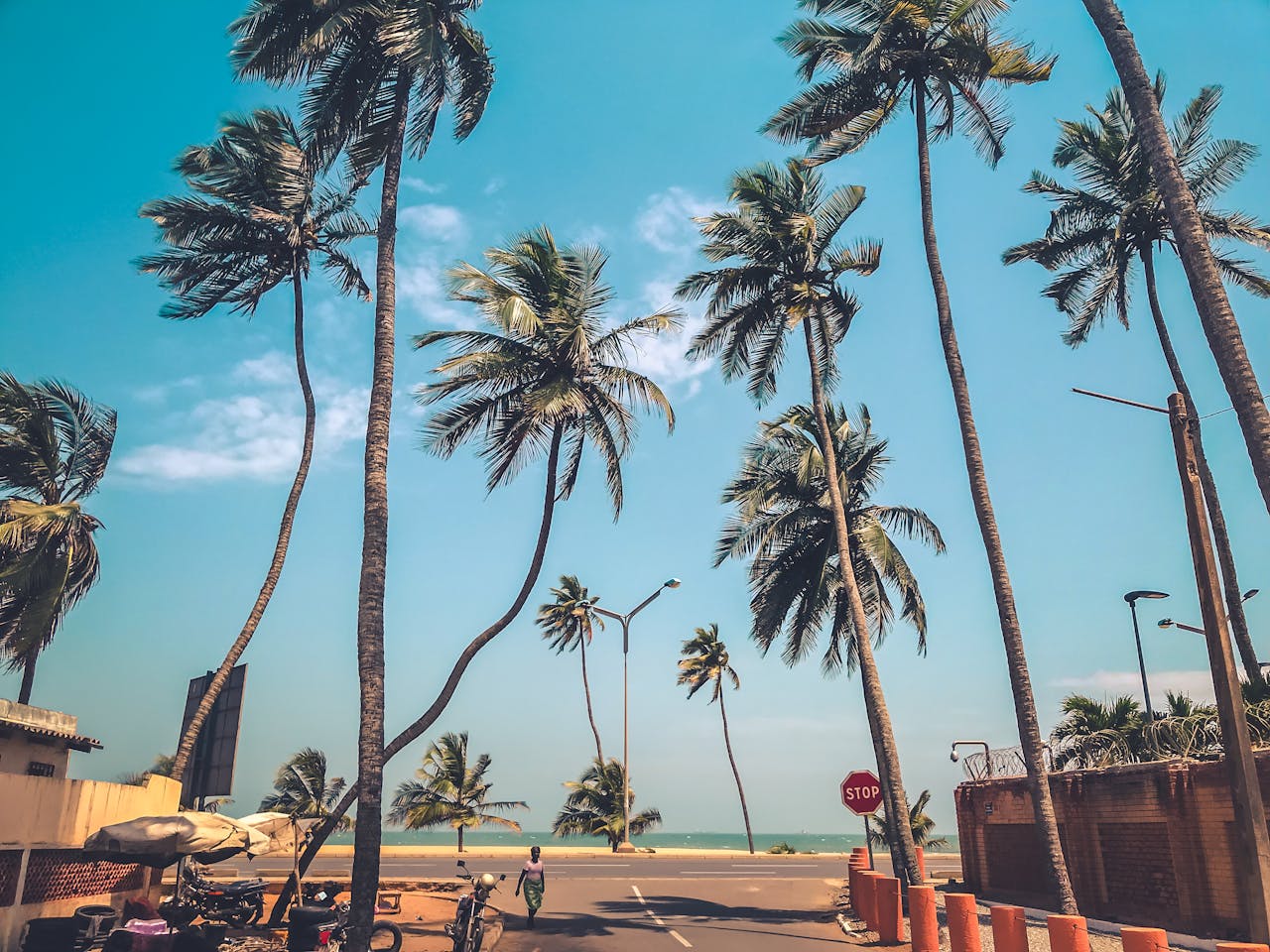 Togo - A Blissful Voyage